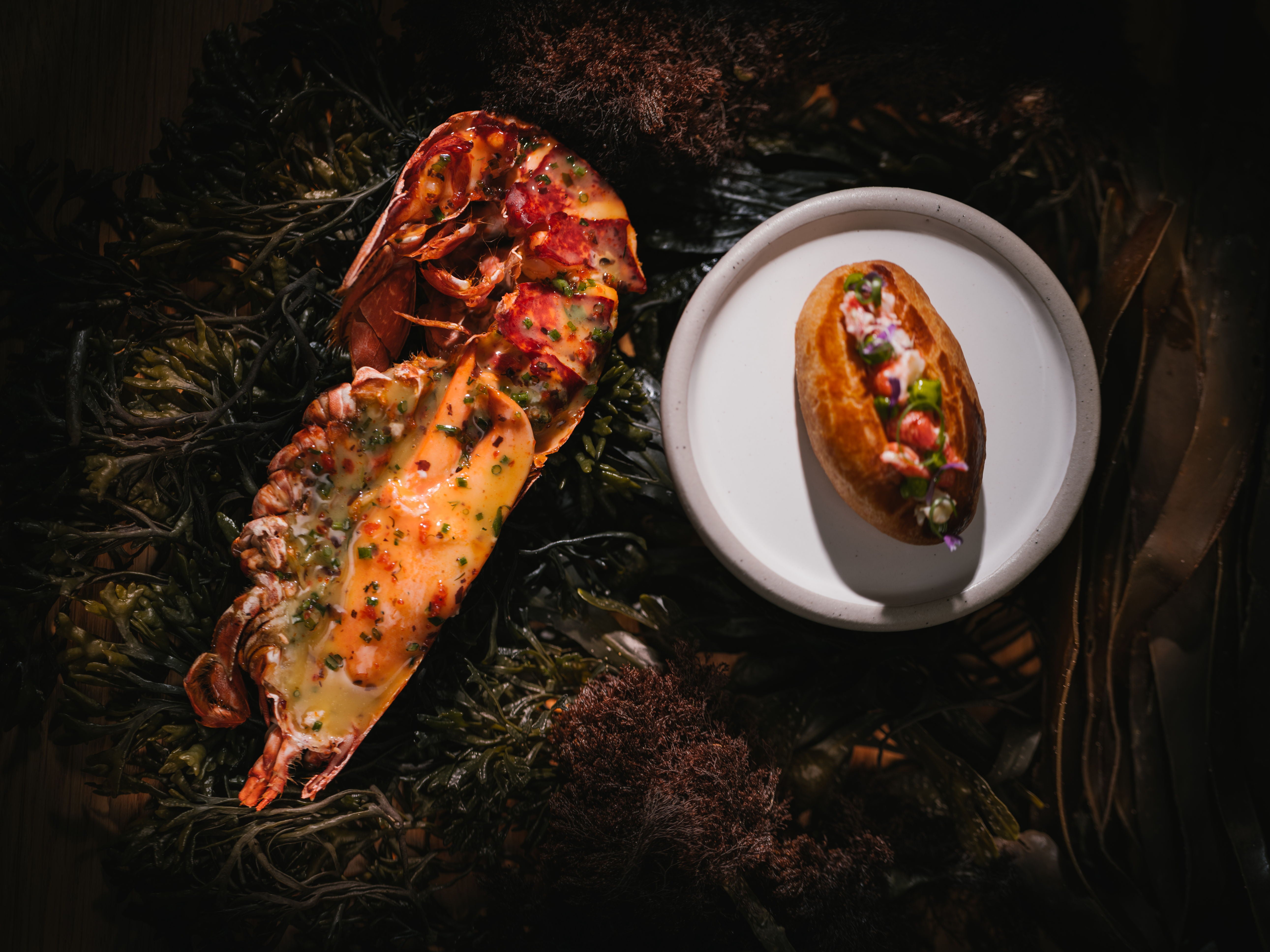 Five Reasons Why Scottish Lobster is the Best in the World – Haar at Home